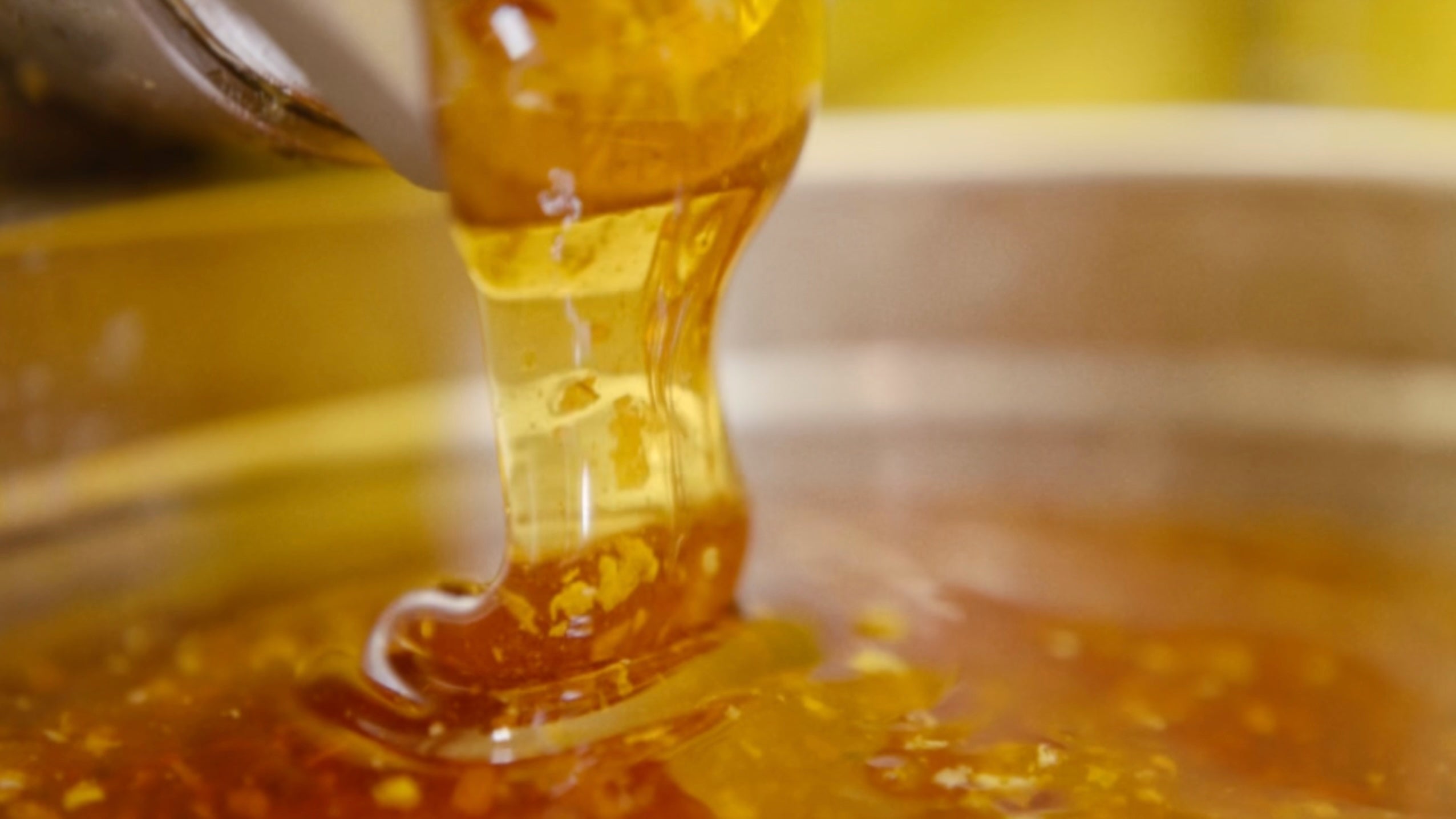 Killer Bees Honey 2025 Smoky Mountain Wildflower honey: lab analysis s